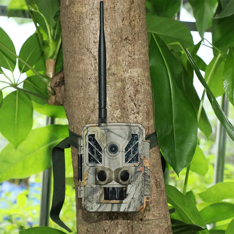 Outdoor Hunting Trail Camera – Tactical Wilderness